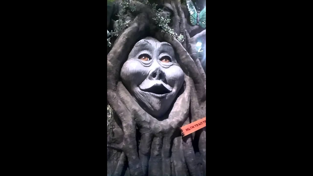 Tracy tree from rainforest cafe in Disney springs - YouTube