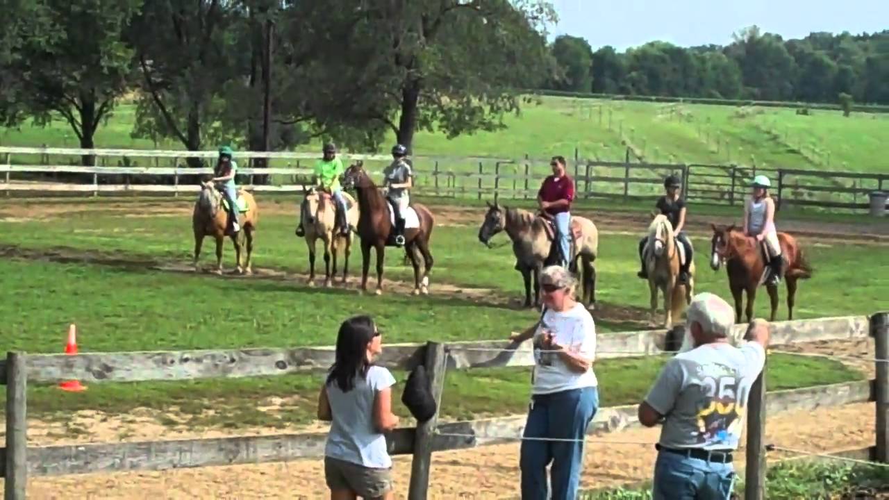 Open Pleasure SunFire Stables - YouTube