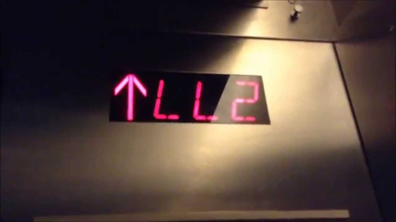 Elevators at the Wild Reef exibit in the Shedd's Aquarium - YouTube