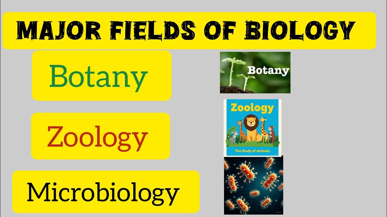Major fields of Biology|| Zoology||Botany||Microbiology #scisimplified ...
