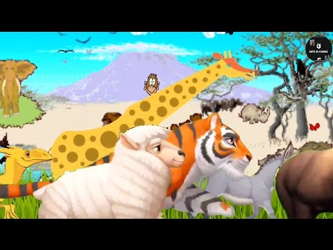 animal stampede video animated video animal running stampede - YouTube