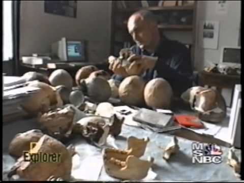 National Geographic | Explorer - Dmanisi Hominid Archaeological Site ...
