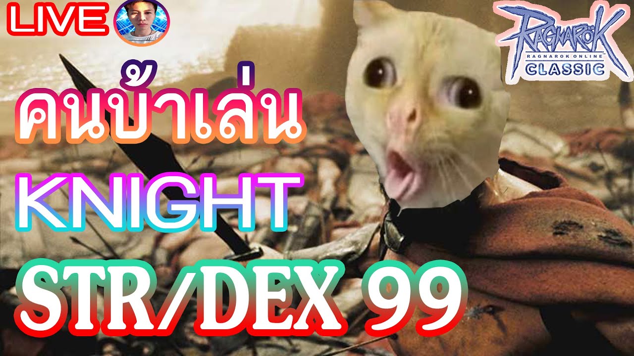 🔴สเตตัสคนบ้า KNIGHT - STR/DEX 99 EP205 - Ragnarok Classic - YouTube