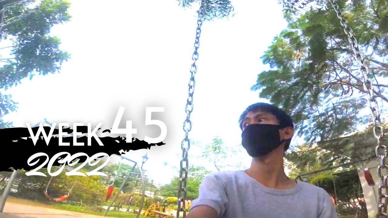 Week 45 of 2022 | Introvert's Progress - YouTube