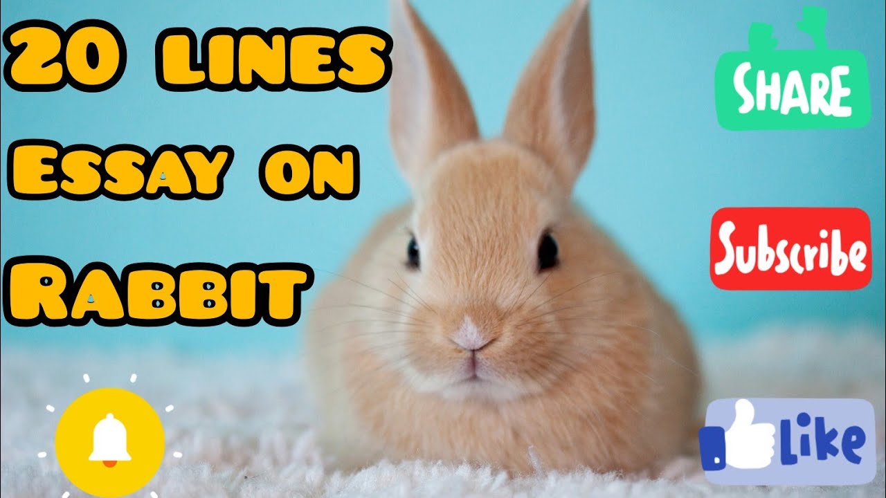 Essay on Rabbit/20 lines essay on rabbit/Learn English with nida - YouTube