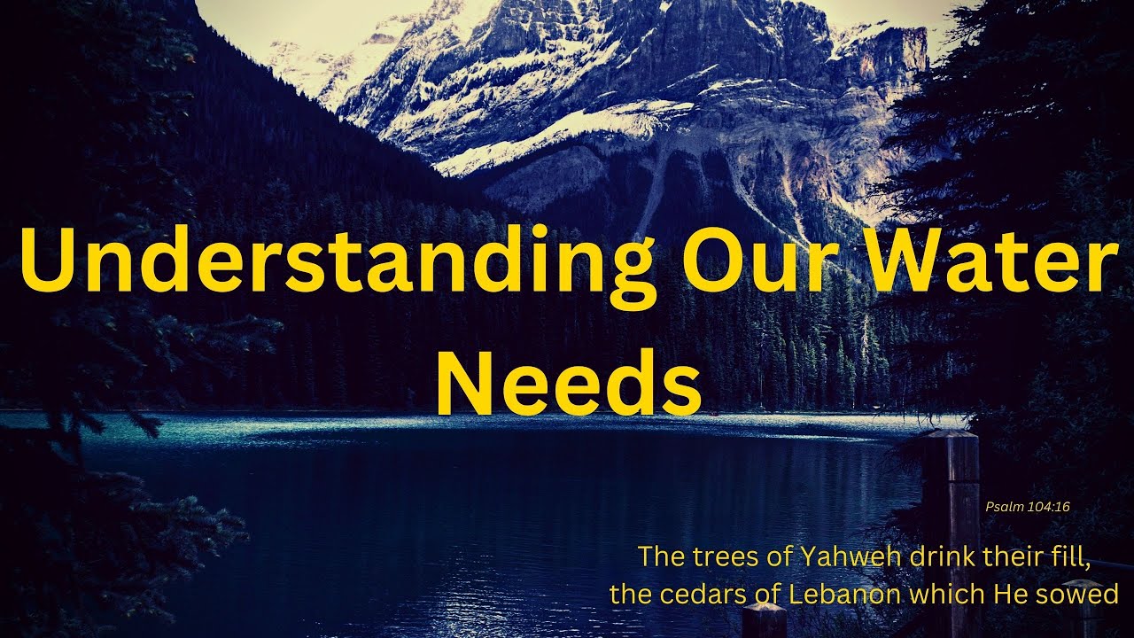Understanding Our Water Needs - YouTube