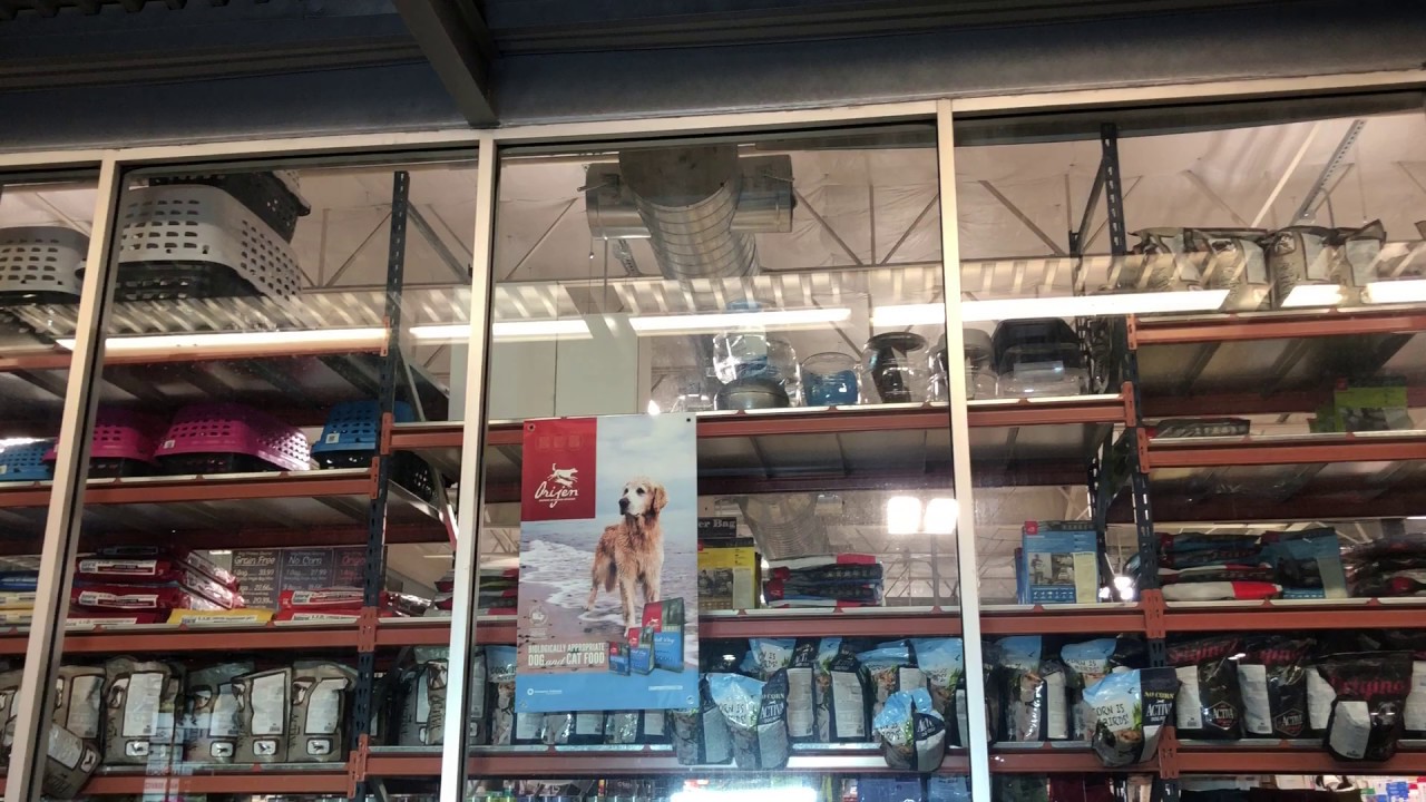 HEB Plus Shopping Center 1604 @ Blanco 8/18/2019 - YouTube