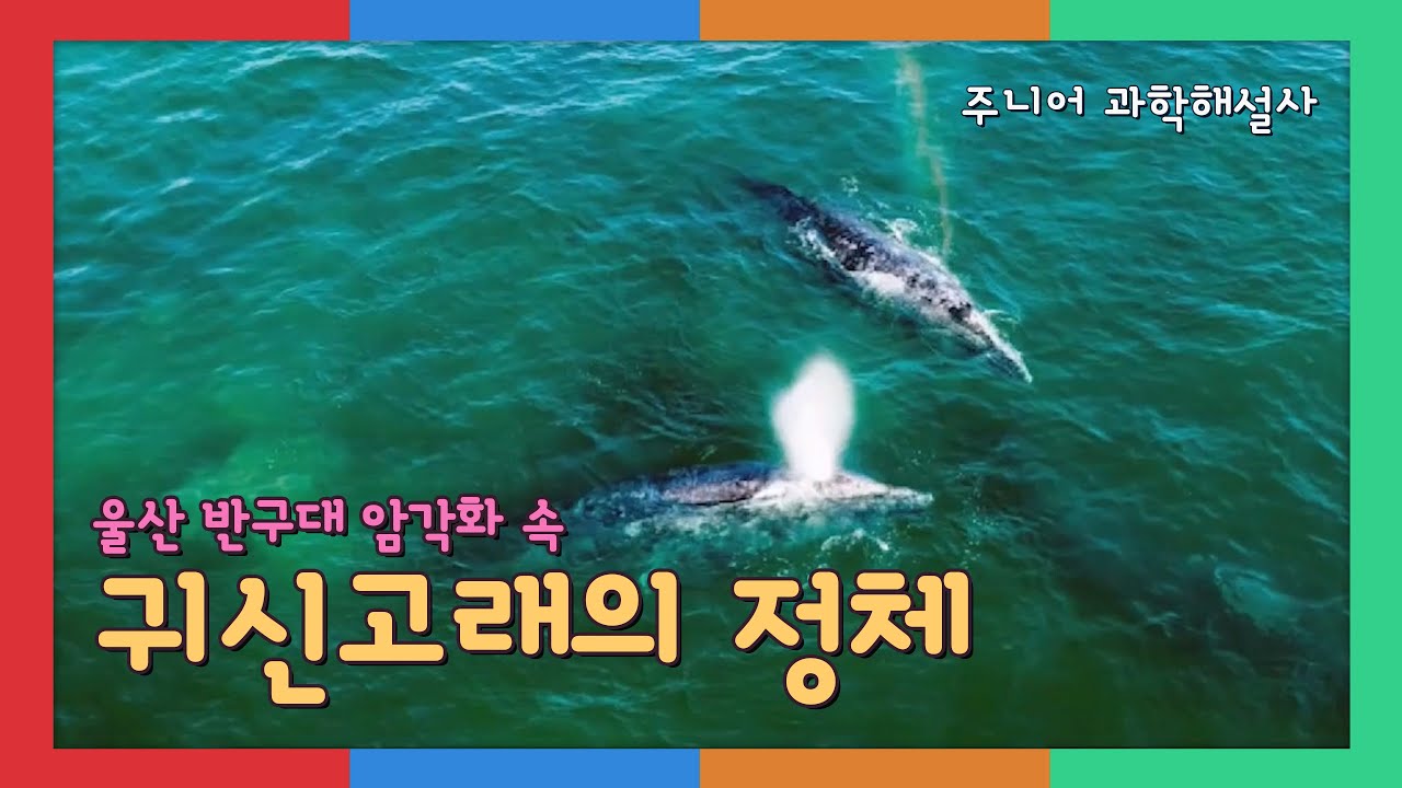 울산 반구대 암각화 속 귀신고래의 정체 【오민하 10기 】 주니어 과학해설 Youtube
