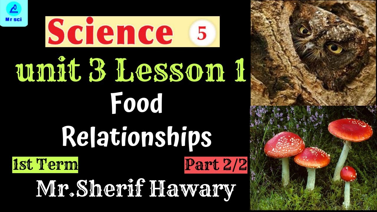 Science |Grade 5 | Food Relationships | Part 2/2 | Unit 3 Lesson 1 ...