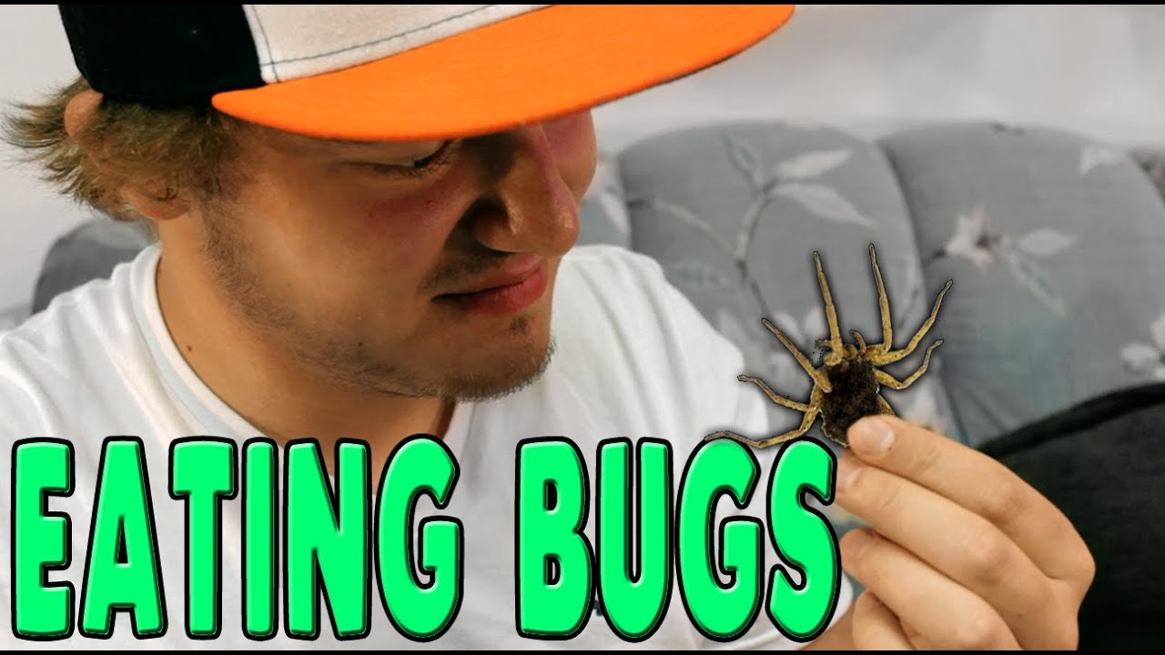 Eating Bugs Challenge - YouTube