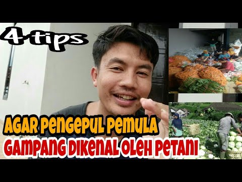 Tips Sukses Pengepul Hasil Pertanian Agar Dikenal Oleh Para petani ...
