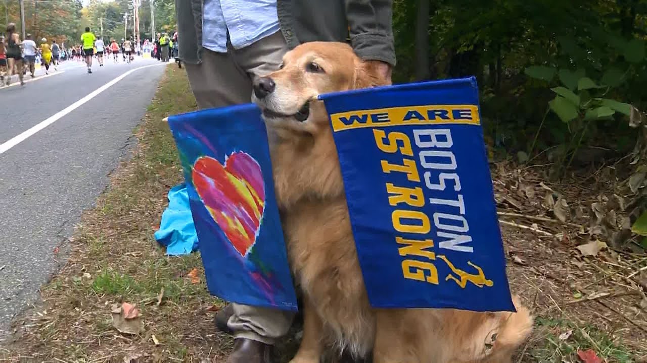 Golden Strong: Pups to honor beloved marathon icons - YouTube