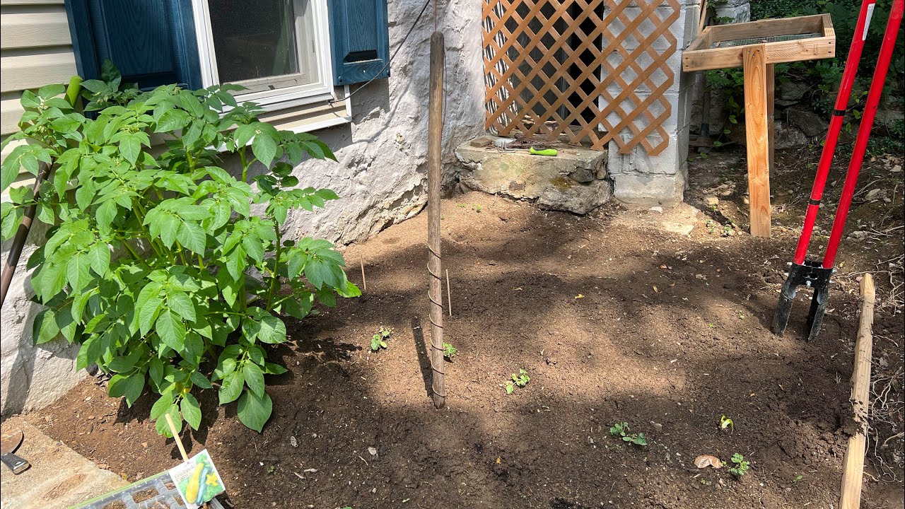 DIY Electroculture garden antenna pole. Does it work?!?! We’ll let you ...
