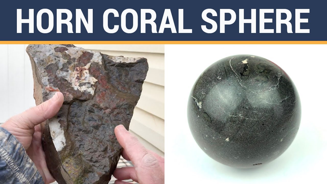 Horn Coral Hunt! Turning a Fossil Find into a Stone Sphere - YouTube