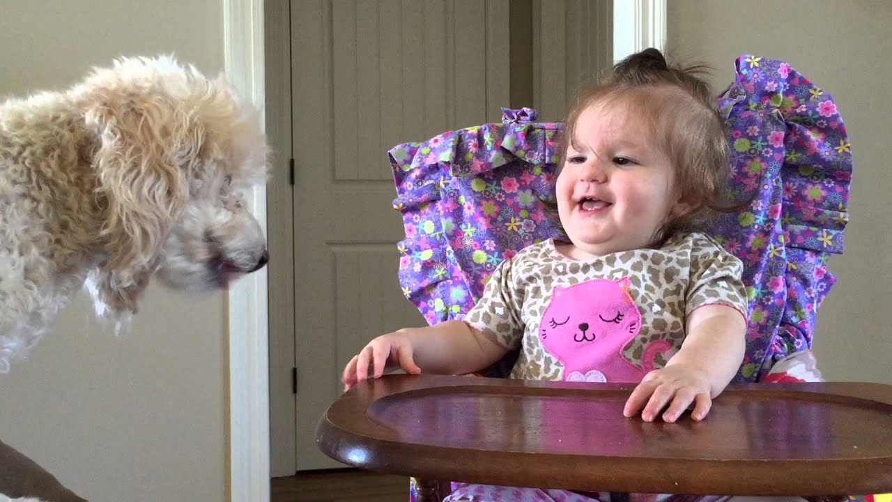 Baby taunting dog with food - YouTube