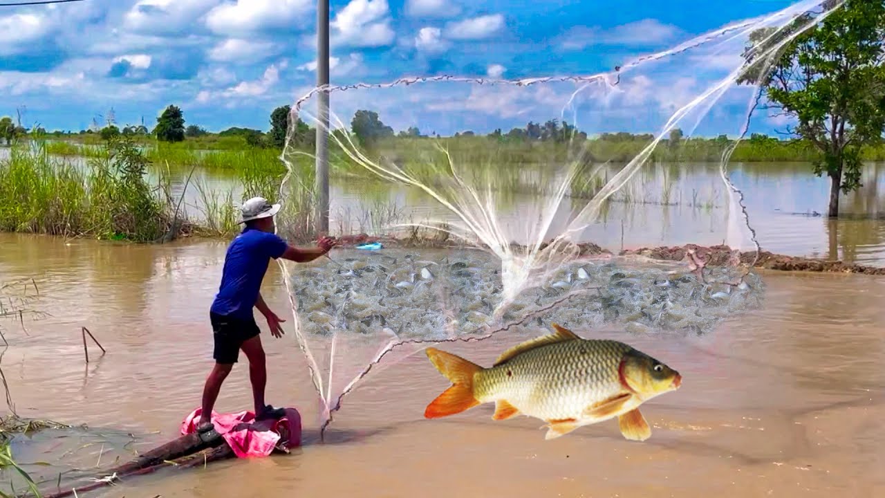 Fisherman Cast Net Fishing Real Life Amazing Fishing At Countryside100 ...
