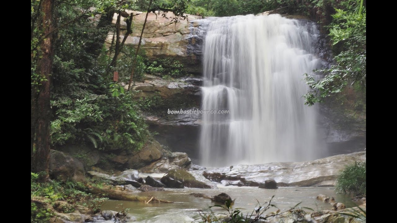Lekasi Waterfall, Penan Medicinal Plants Tegulang Resettlement Murum ...