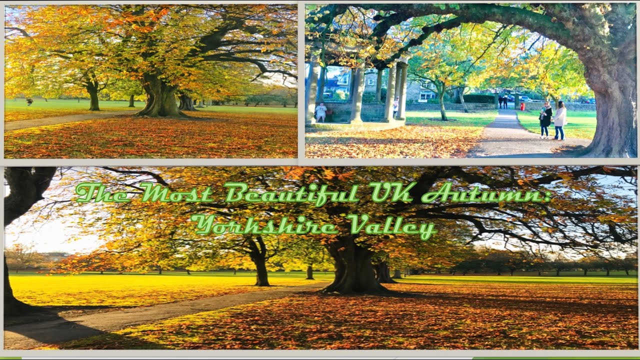 Top UK attraction: the most beautiful Yorkshire in golden autumn | Dr ...