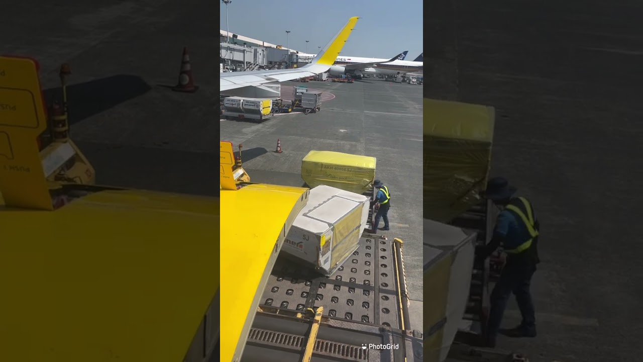 A320 Cargo Loading - YouTube