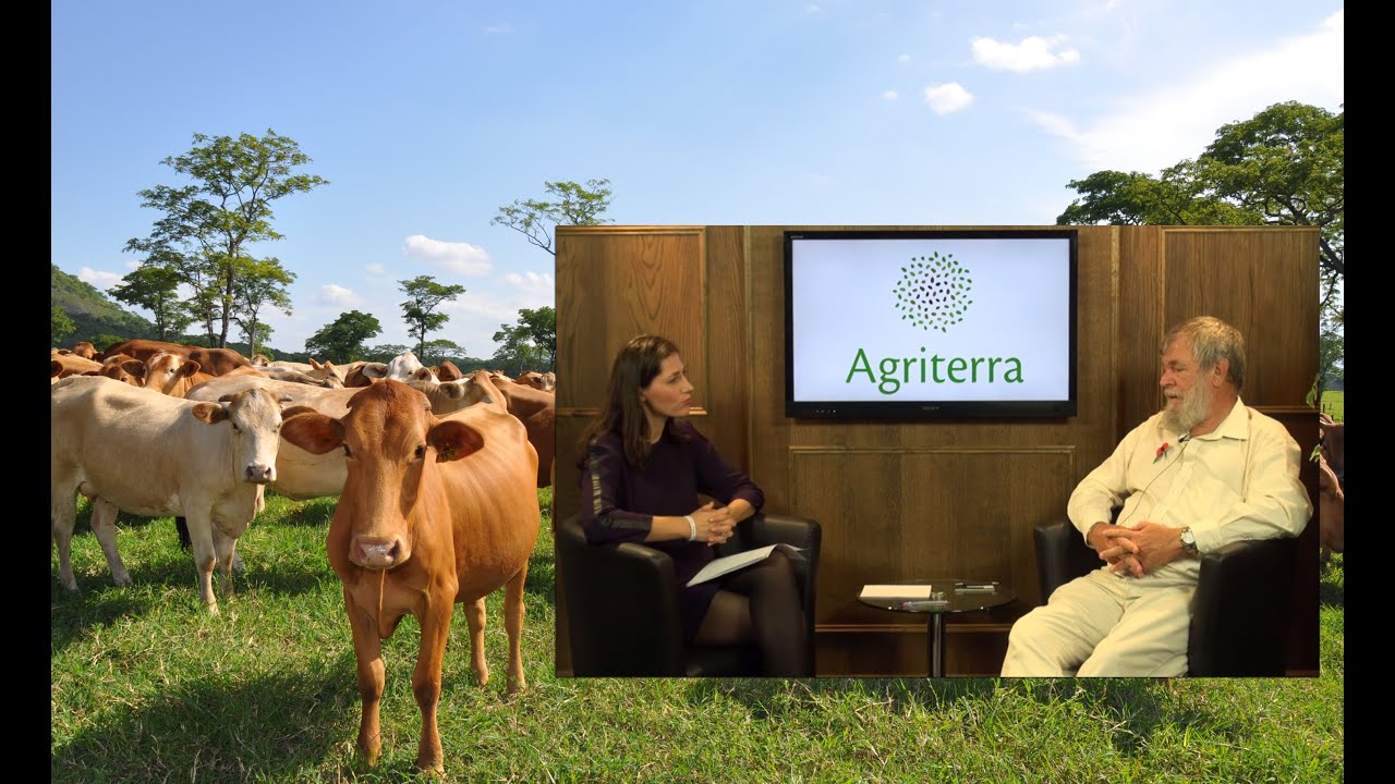 Agriterra hopes to start generating profits in"'very near future" - YouTube