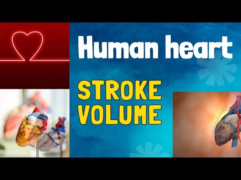 stroke volume #formula of stroke volume#biology#neet2025 - YouTube