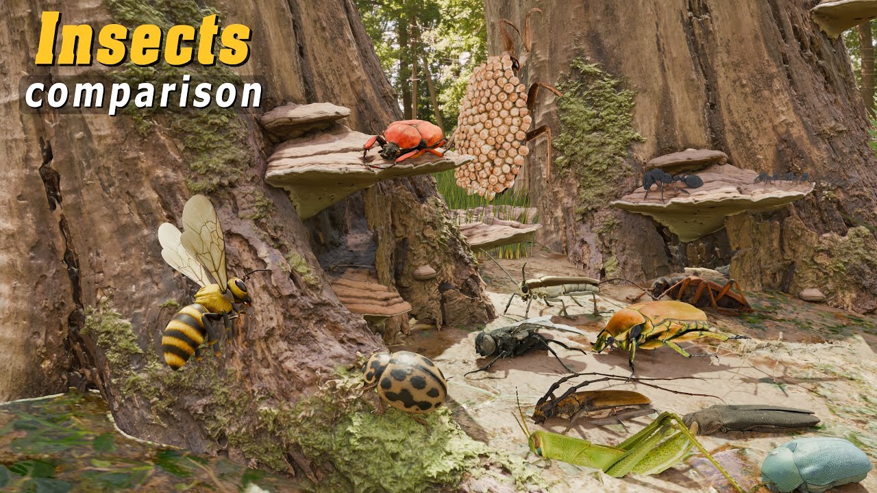 Insects | 3D Size Comparison - YouTube