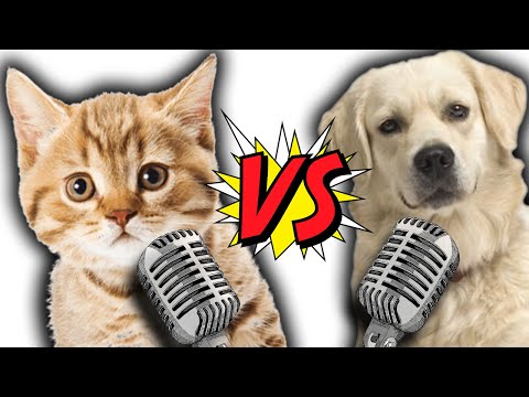 Konuşan Pisiler Konuşan Köpeklere Karşı ⚔️👊⚔️