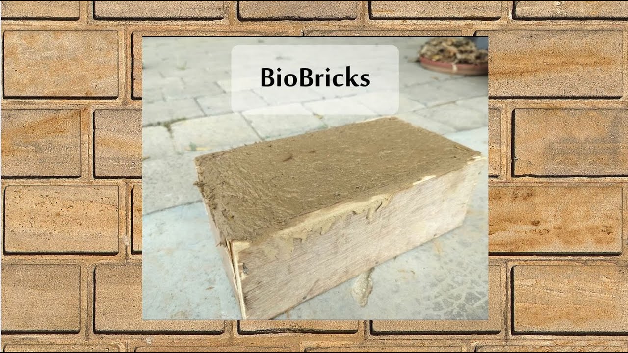 BioBricks: The Green Future of Construction | India Innovation ...