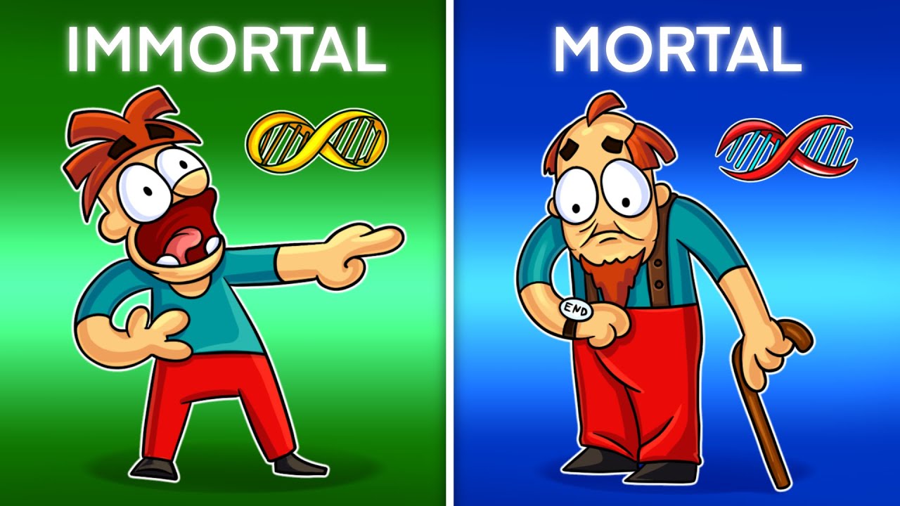 Ich bin Unsterblich! Die Vor- und Nachteile des Unsterblichen Lebens ...