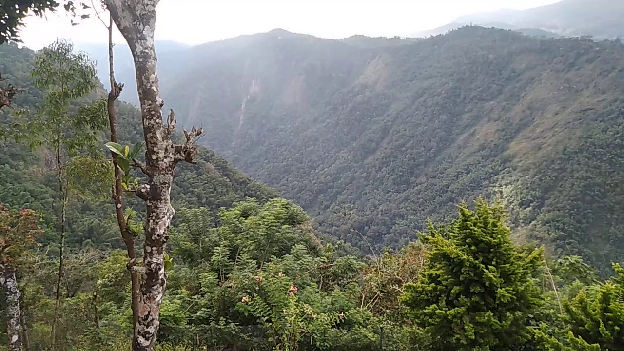 Wayanad vellarimala - YouTube