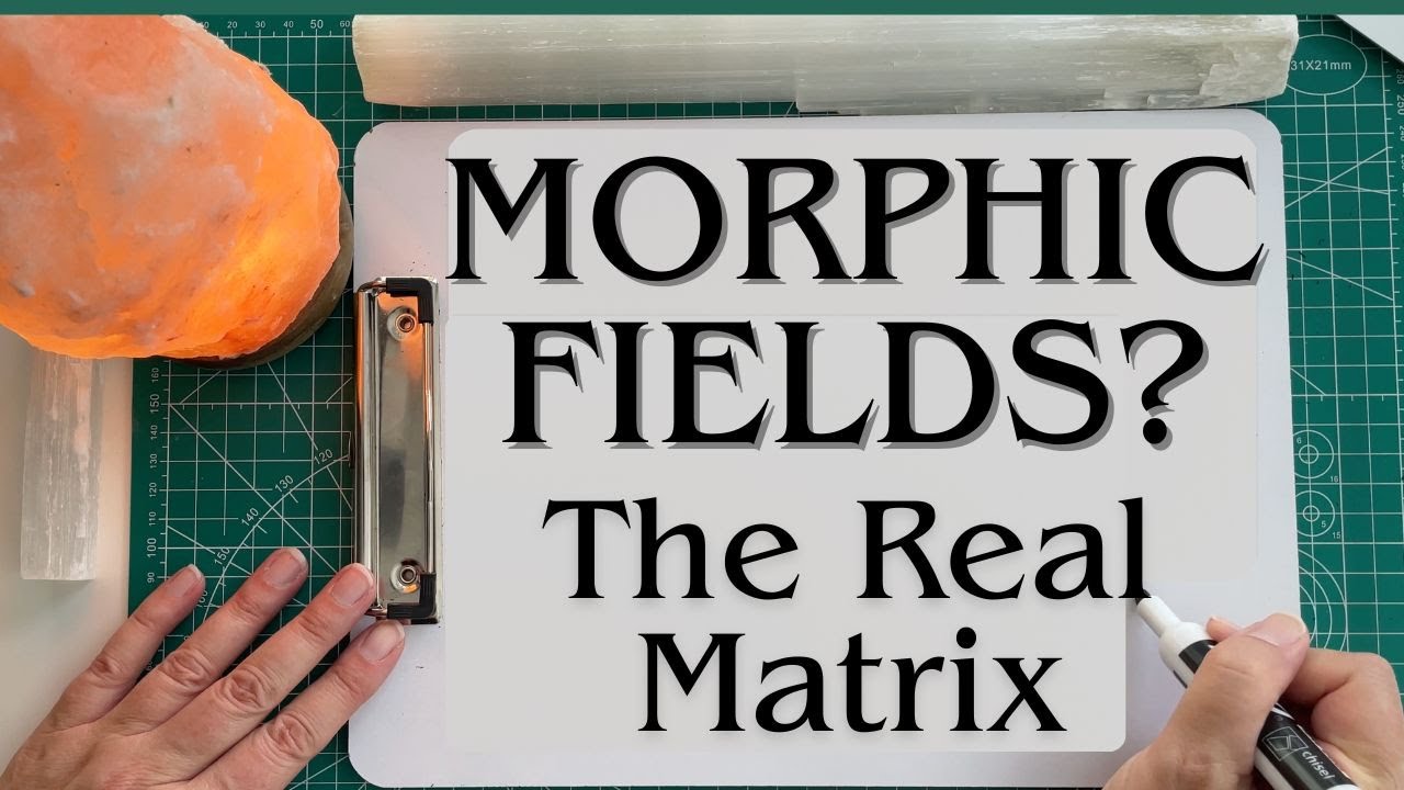 Rupert Sheldrake’s Morphic Fields | How Energy Shapes Life & Memory ...