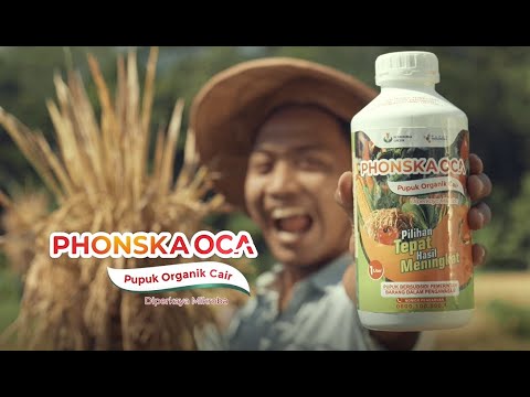 PHONSKA OCA - PILIHAN TEPAT HASIL MENINGKAT - YouTube