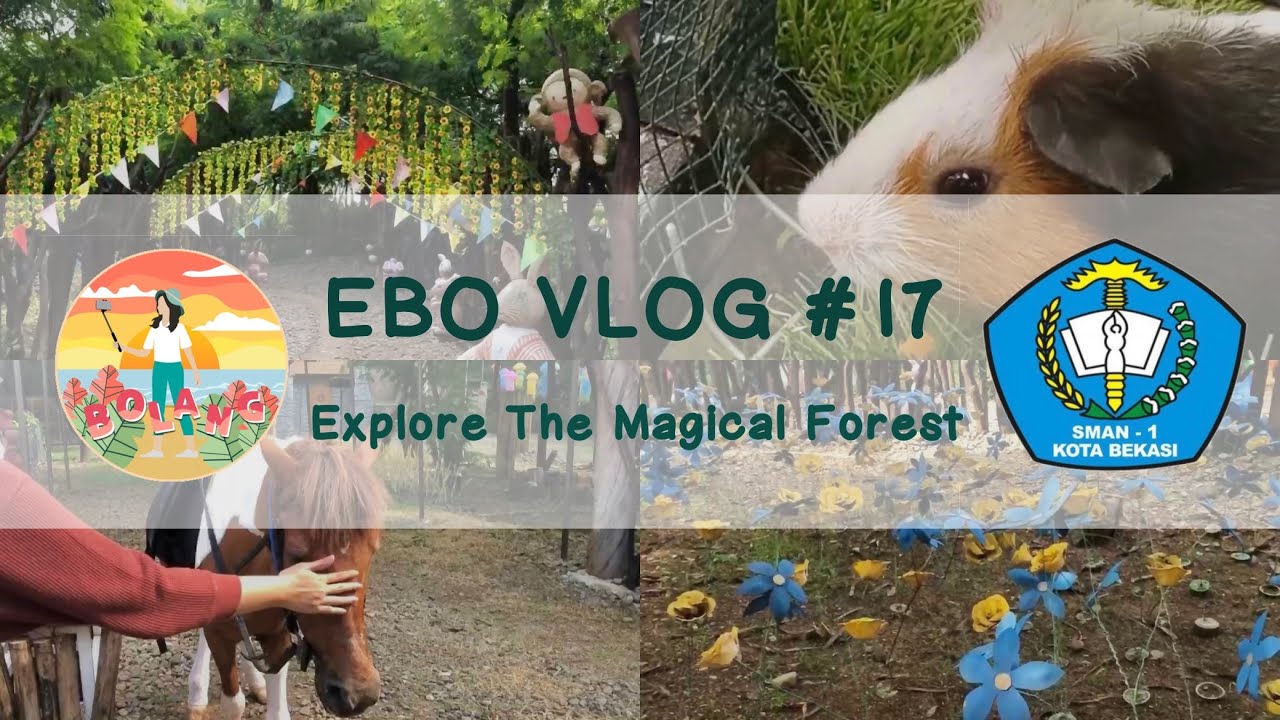 EBO VLOG #17 - Explore The Magical Forest - YouTube