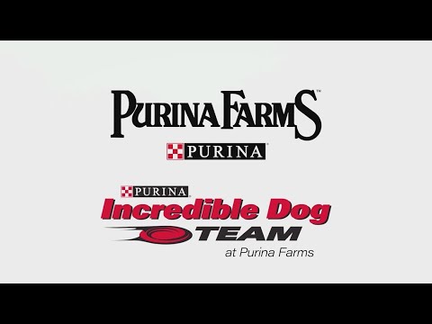 Purina to stream 'Incredible Dog Team' performance - YouTube