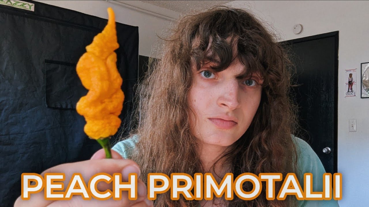PEACH PRIMOTALII PEPPER FROM HELLFIRE FARMS POD REVIEW - YouTube