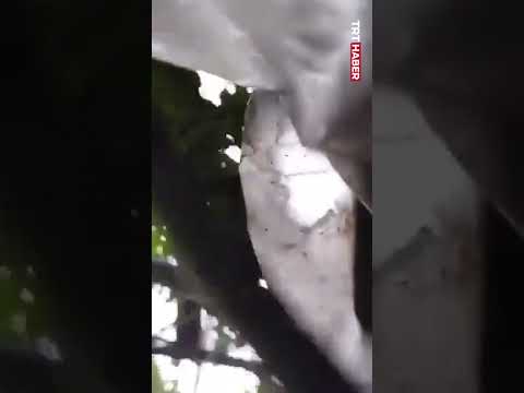 Rayların kenarında video çekiyordu, trenin çarpması sonucu hayatını kaybetti📍Hindistan