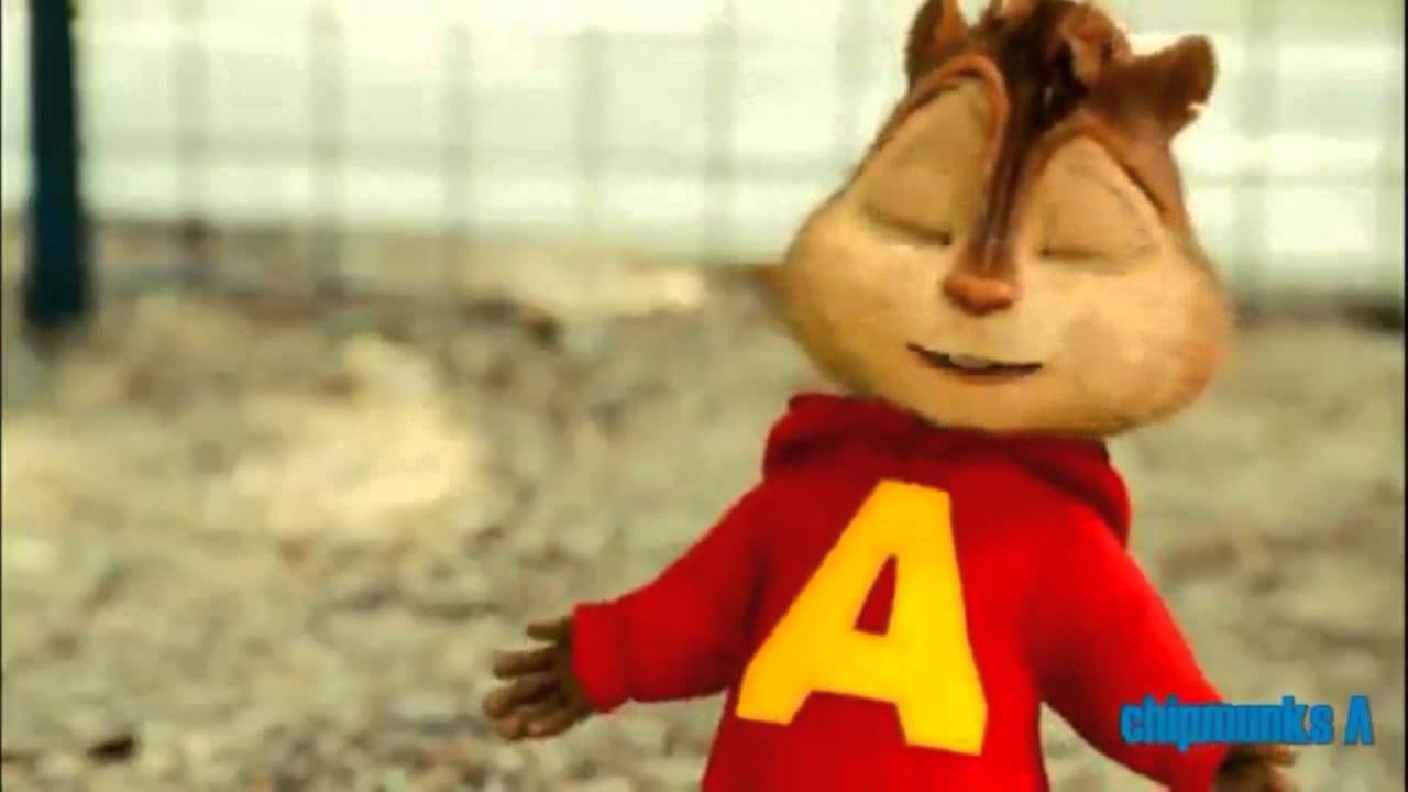 chipmunk How we roll (chipettes dance) - YouTube