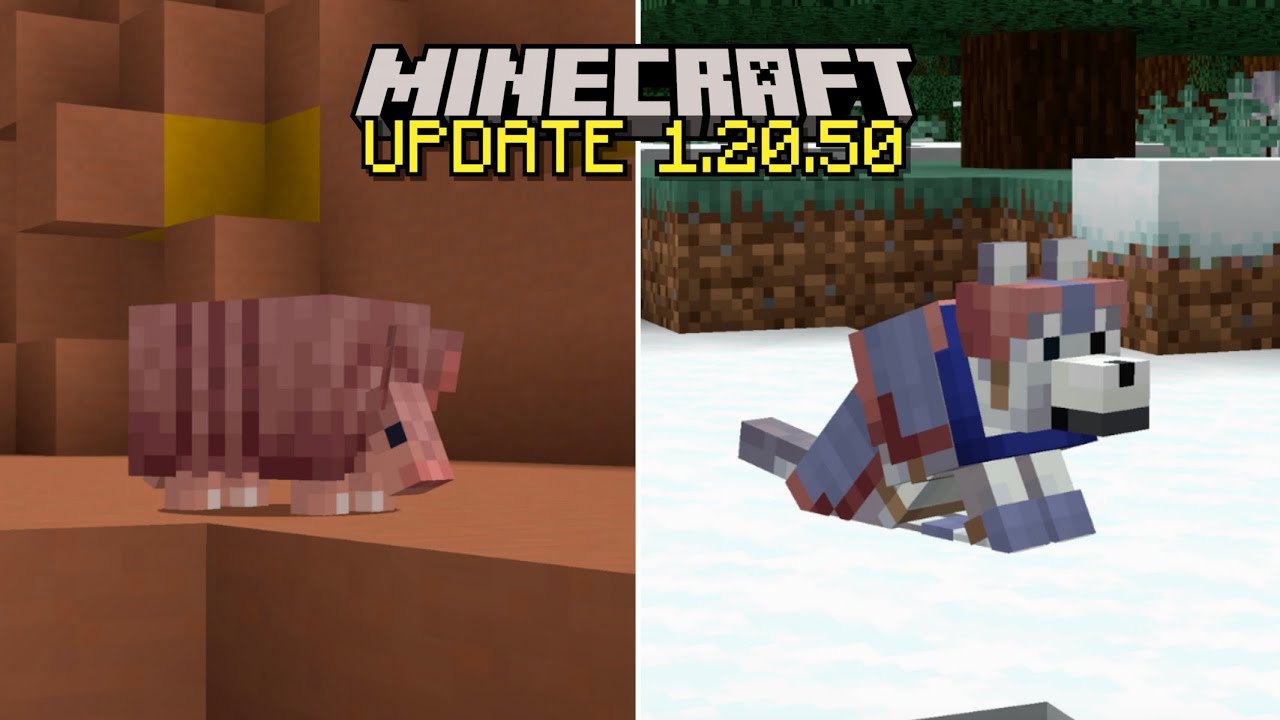 EVERYTHING NEW in The ARMORED PAWS UPDATE! - YouTube