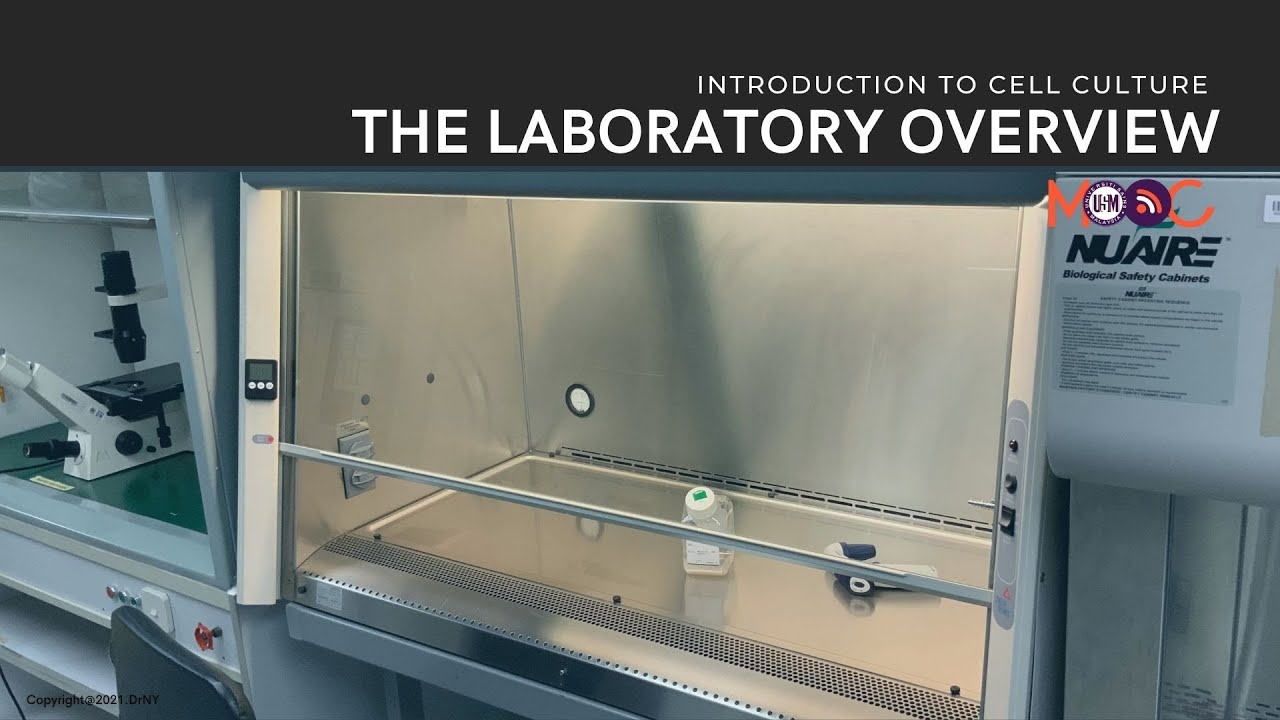 USM-MOOC: The Laboratory Overview - YouTube