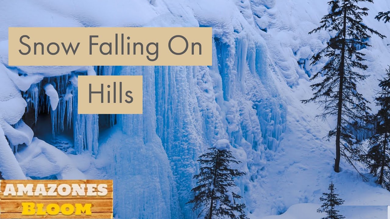 Snowfall - Peaceful Snowing - Snow Falling - Relaxing Winter Video ...