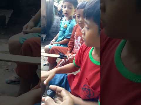 Ngadu Muncang Bocil 🔥 Muncang Kletik Si Kobra Vs Si Toyib , Gasskeun ...