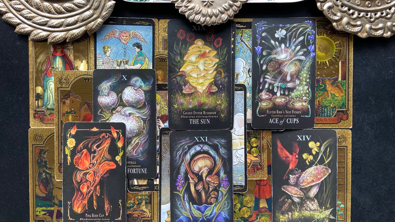 GEMINI MONEY & CAREER TAROT WEEKLY JAN 22-28 2024 SIGNED, SEALED ...