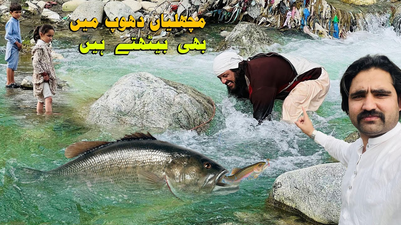 MAYAN Aw Yaran || NOOR WAHID official Swat kpk vines team - YouTube