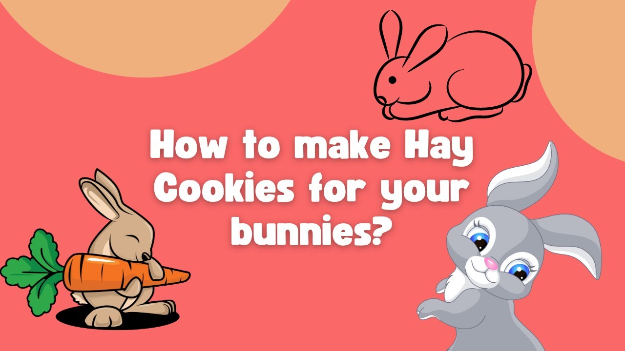 How to make Timothy Hay Cookies for Rabbits? - YouTube