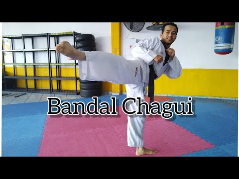 Tecnica de la patada Bandal Chagui 🥋 - YouTube