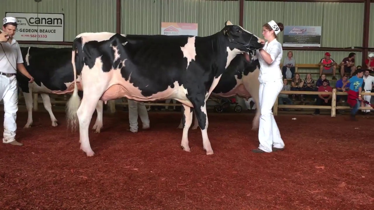 Visages de la relève: Sarah Poulin - YouTube