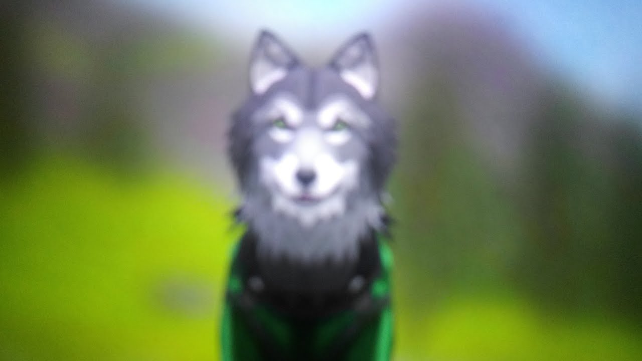 Pictures of wildcraft - YouTube