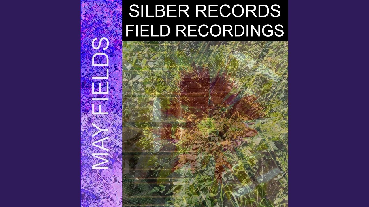 Fever Dream Transformer - YouTube