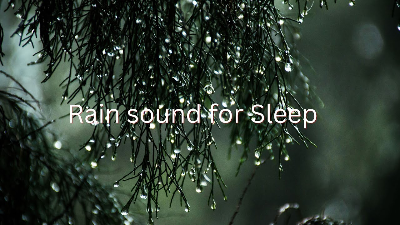 Rain Sound For Sleeping Night Sleep New With Thunder Youtube