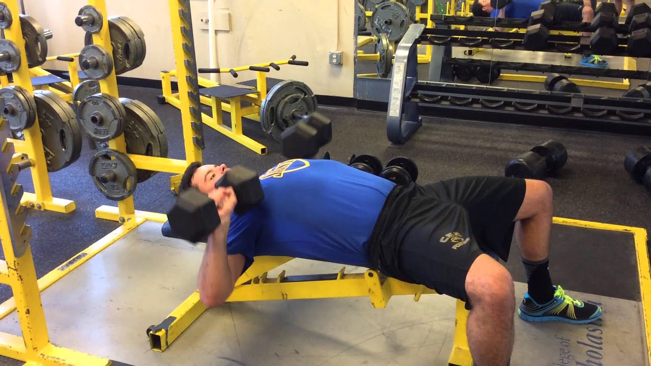 DB Bench Press - YouTube